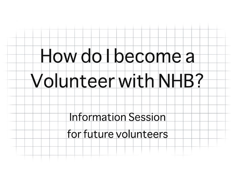NHB Volunteer Information Session (Online)