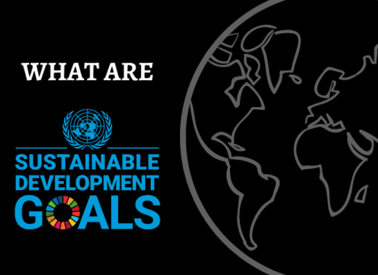 Introduction to the UN Sustainable Development Goals [YEP]