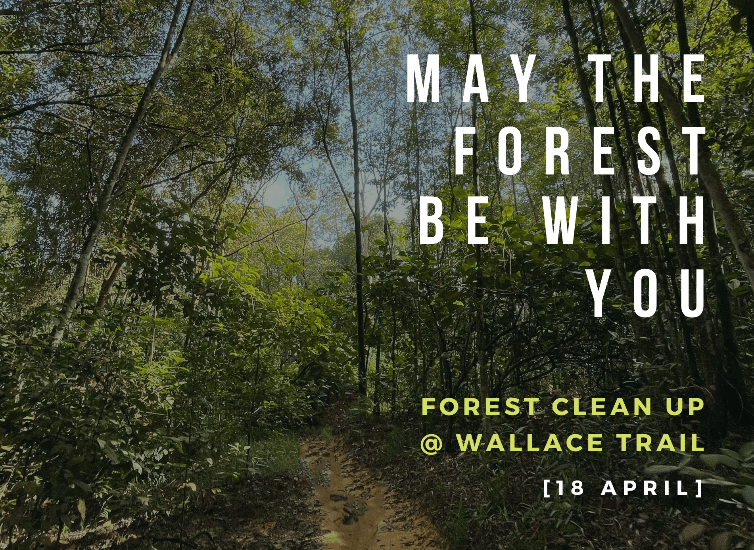 Forest Clean Up @ Wallace Trail [Y-Y]