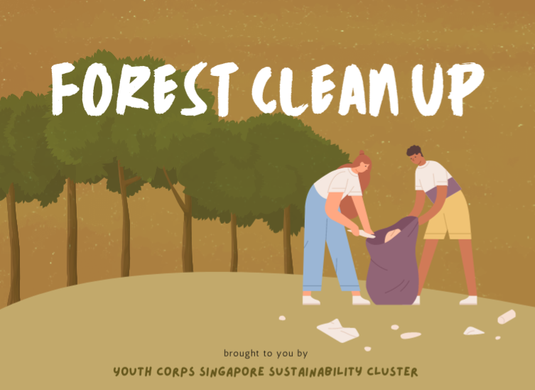 Forest Clean Up [Y-Y]